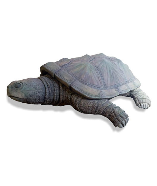 Snapping Turtle | NP-TC030 - Dynamo Playgrounds